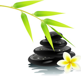 Zen Vector Images (over 72,000)