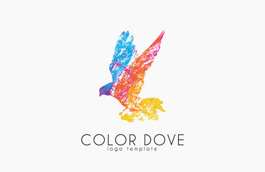 Color dove logo bird design Royalty Free Vector Image