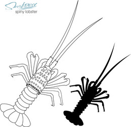 Silhouette spiny lobster linear spiny Royalty Free Vector