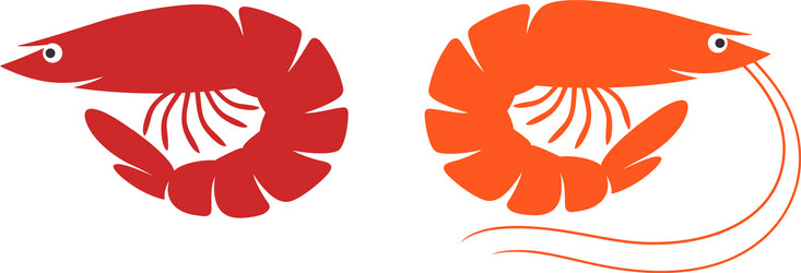 Shrimp Royalty Free Vector Image - VectorStock