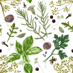 Hand drawn spices seamless pattern Royalty Free Vector Image
