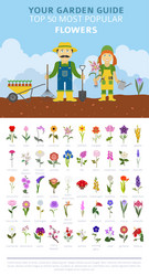 Your garden guide top 50 most popular flowers Vector Image