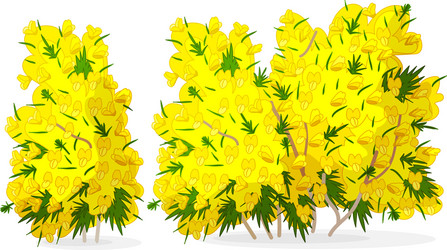 Gorse Vector Images (11)