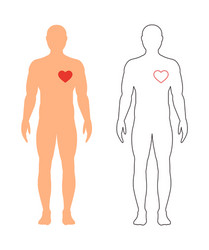 Heart of man Royalty Free Vector Image - VectorStock