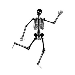 Skeletons dancing Royalty Free Vector Image - VectorStock