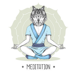 Hipster animal wolf meditating in lotus position Vector Image