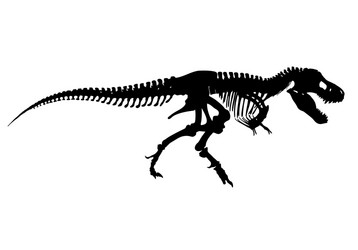 T Rex Vector Images (over 6,200)