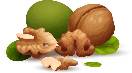 Nuts Label Type Vector Images (over 110)