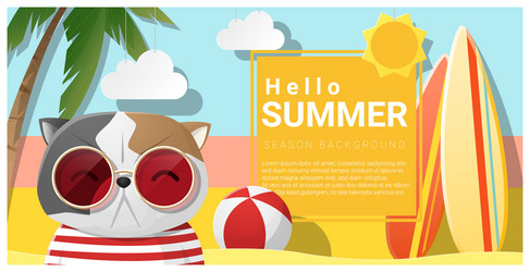 Hello summer background with cat Royalty Free Vector Image