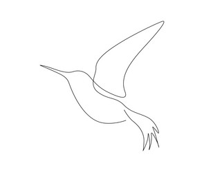 Continuous one line drawing of collibri humming Vector Image