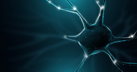 Axon Vector Images (over 1,300)