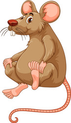 Four brown mouse on white background Royalty Free Vector