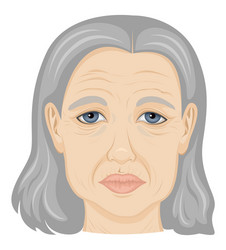 Young and old woman face aging concept isolated Vector Image