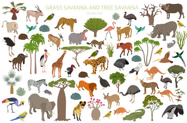 Biome Savannah Vector Images (24)