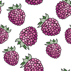 Raspberries Vector Images (over 26,000)