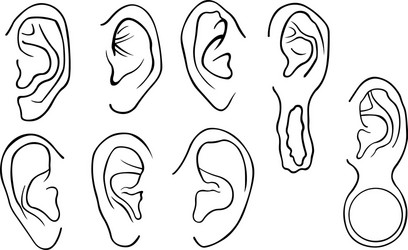 Mold poisoning inflammation common ear problems Vector Image