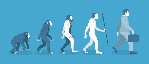 Monkey Stage Evolution Vector Images (86)