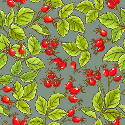 Wild rose pattern Royalty Free Vector Image - VectorStock