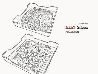 Raw beef meat sliced in tray Royalty Free Vector Image