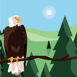 Bald Eagle in Tree Vector Images (59)