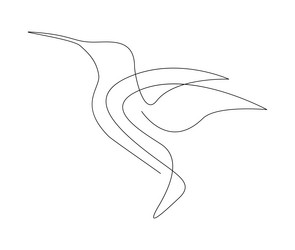 Continuous one line drawing of collibri humming Vector Image
