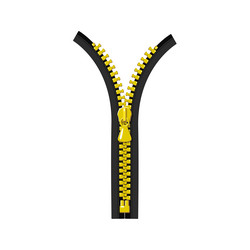 Unzip Vector Images (over 3,700)