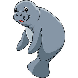 Manatee marine animal colored cartoon Royalty Free Vector