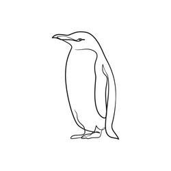 Penguin continuous one line art drawing Royalty Free Vector