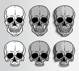 Smiling skulls Royalty Free Vector Image - VectorStock