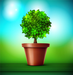Planting tree in the clay pot Royalty Free Vector Image