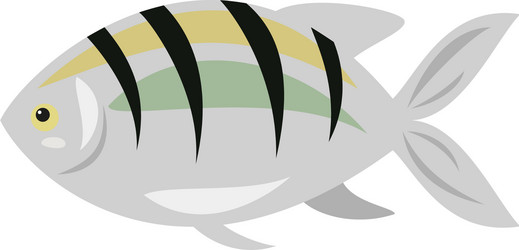 Cartoon fish icon on white background Royalty Free Vector