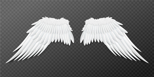 Angel or bird wings with feathers realistic Vector Image