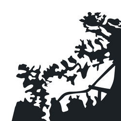 Black silhouette shadows from trees and branches Vector Image