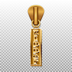 Zipper clasps set Royalty Free Vector Image - VectorStock