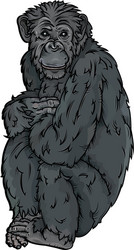 Ape Vector Images (over 35,000)