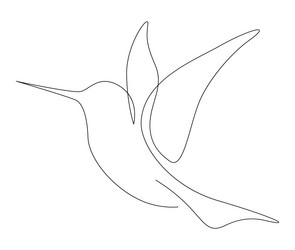 Continuous one line drawing of collibri humming Vector Image
