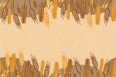 Avena Vector Images (41)