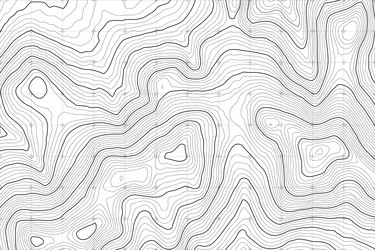 Topographic map geographical location lines Vector Image
