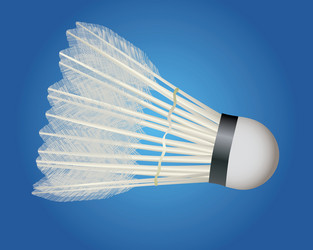 Shuttlecock for badminton blueprint Royalty Free Vector