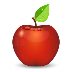 Realistic 3d apple isolated template for your Vector Image