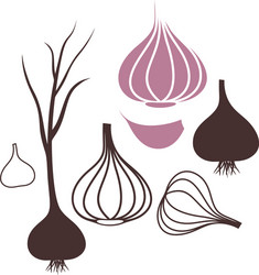 Garlic presenting something Royalty Free Vector Image