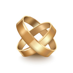Gold wedding rings Royalty Free Vector Image - VectorStock