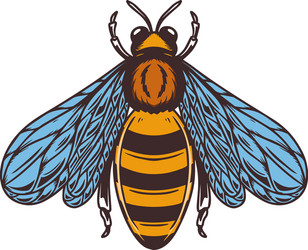 Simple line art icon bee pictograph design Vector Image