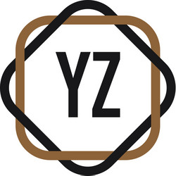 Initial letter elegance yz logo design template Vector Image