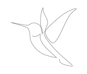 Continuous one line drawing of collibri humming Vector Image