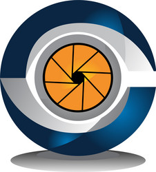 Surveillance logo design template Royalty Free Vector Image