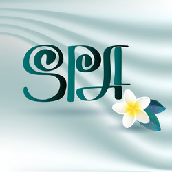 Spa theme with handwritten words Royalty Free Vector Image