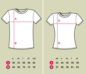 T-shirt sizes Royalty Free Vector Image - VectorStock
