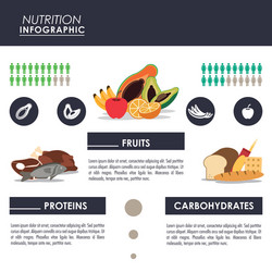 Infographic icon nutrition design graphic Vector Image