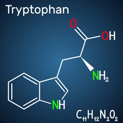 Tryptophan trp or w amino acid molecule Royalty Free Vector
